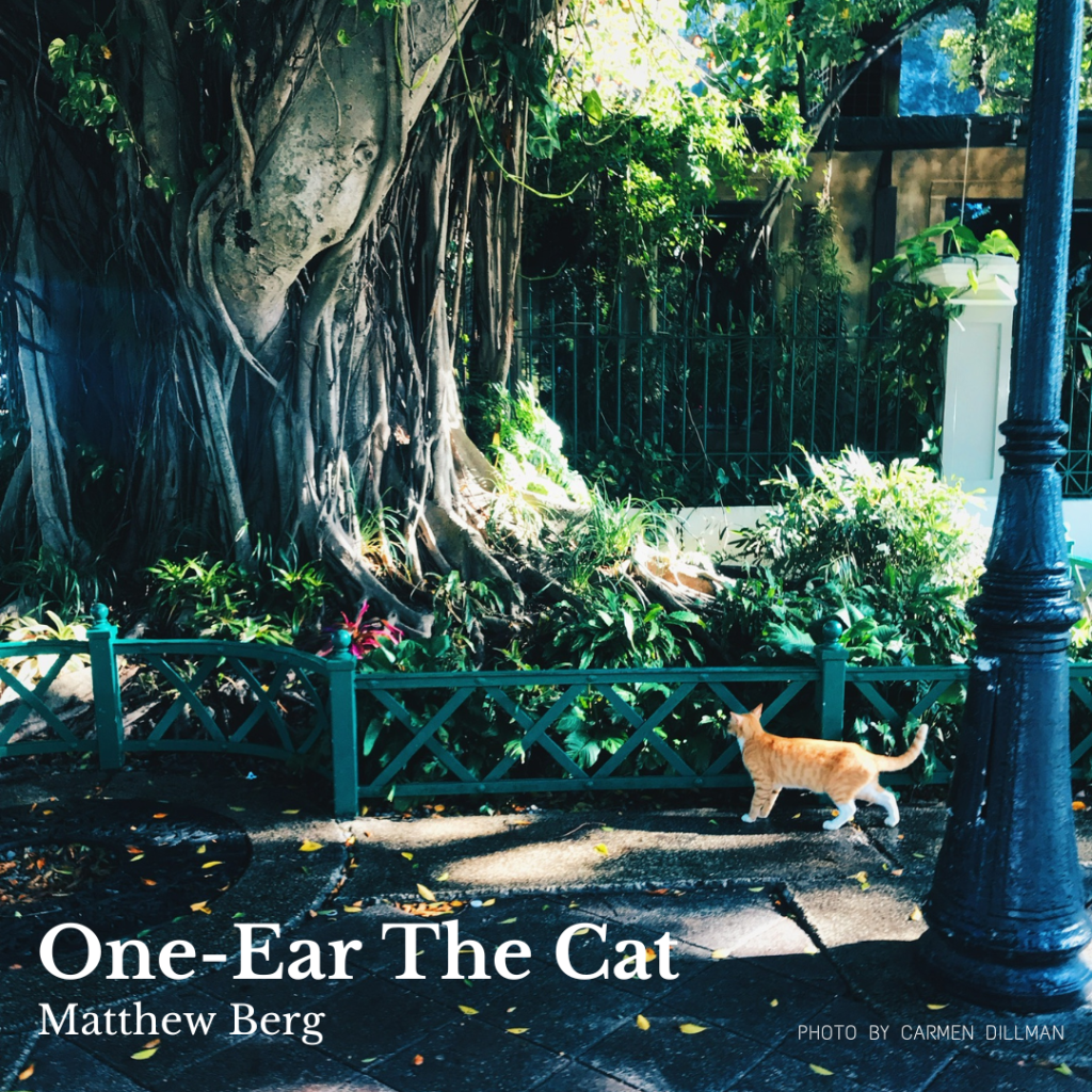 “One-Ear The Cat” by Matthew Berg – Light4PH